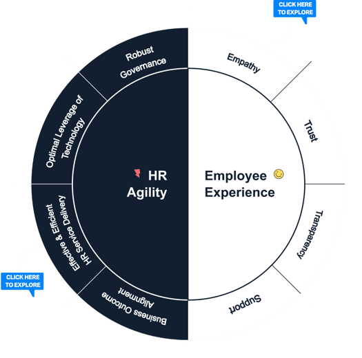 HR Evolution Perspectives
